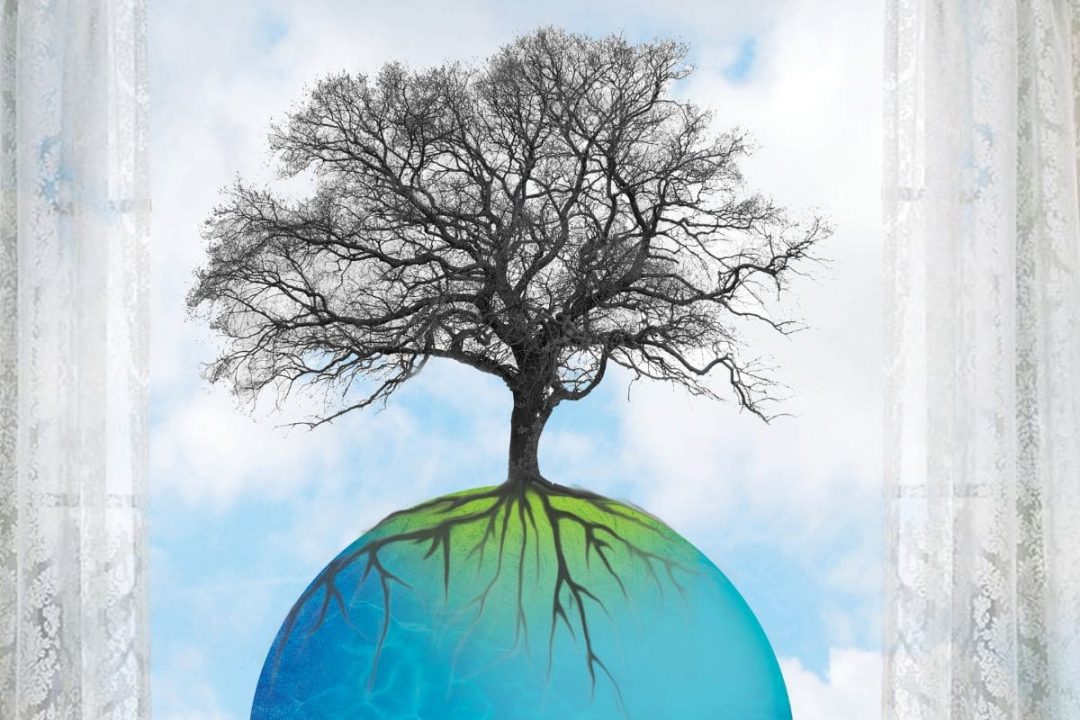 Lebensbaum Bedeutung: Die Wahrheit Hinter Dem Baum des Lebens! - Sinnopedia