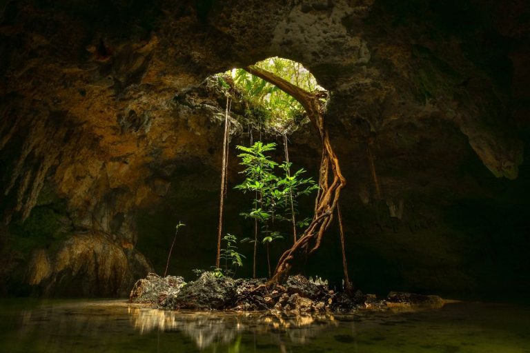 11 Größten Wikinger Symbole: Bedeutung Der Nordischen Mythologie ...