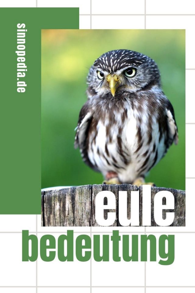 Eule Bedeutung: Symbolik Und Mythologie Der Geheimnisvollen Eule ...