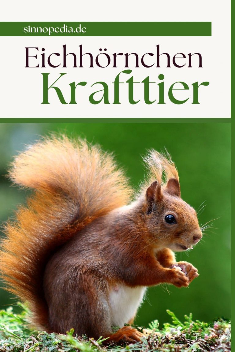 Spirituelle Bedeutung Eichhornchen