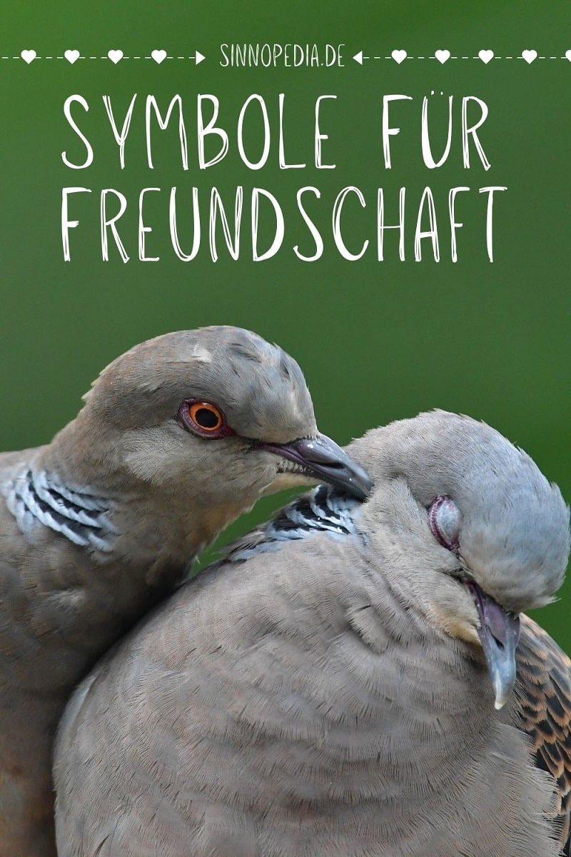 Symbole Für Freundschaft: Die Zeichen Für Wahre Freunde - Sinnopedia