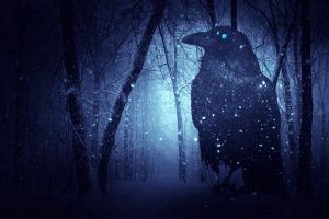Krafttier Rabe: Rabenvögel Als Träger Der Weisheit Und Magie! - Sinnopedia