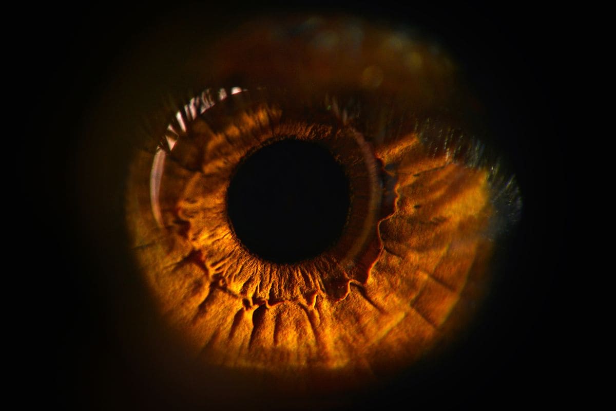 Auge Symbol: Die Wahrheit Über Das Mächtigste Symbol Der Welt! - Sinnopedia