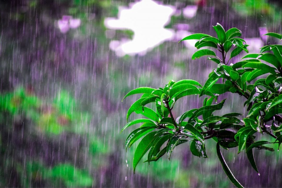 Regen Bedeutung: Was Wollen Ihnen Die Regentropfen Sagen? - Sinnopedia