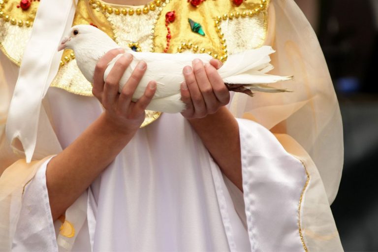 Weiße Taube Bedeutung: Was symbolisiert sie und welche Bedeutung hat ...