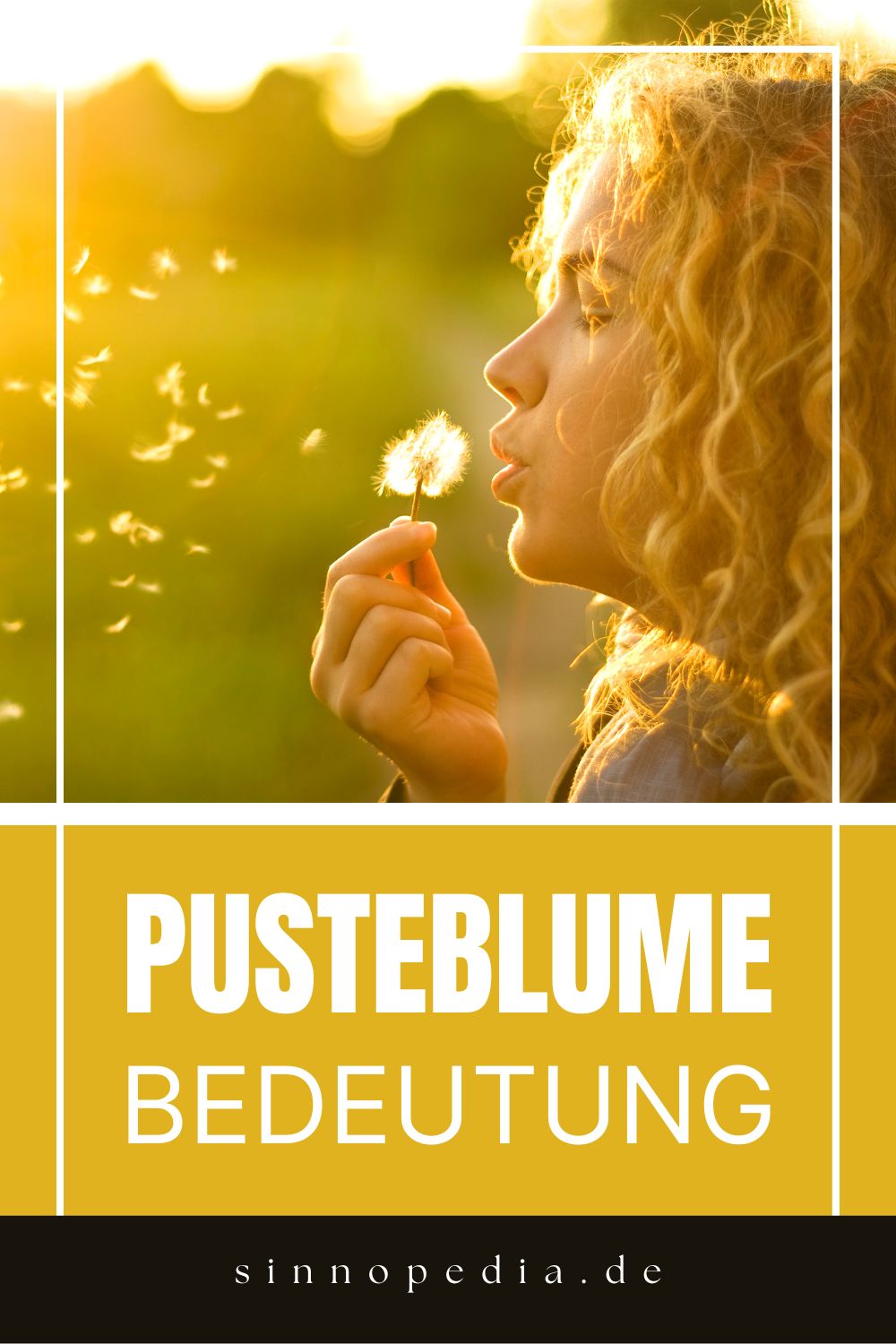 Pusteblume Bedeutung: Einblicke in ihre spirituelle und symbolische ...