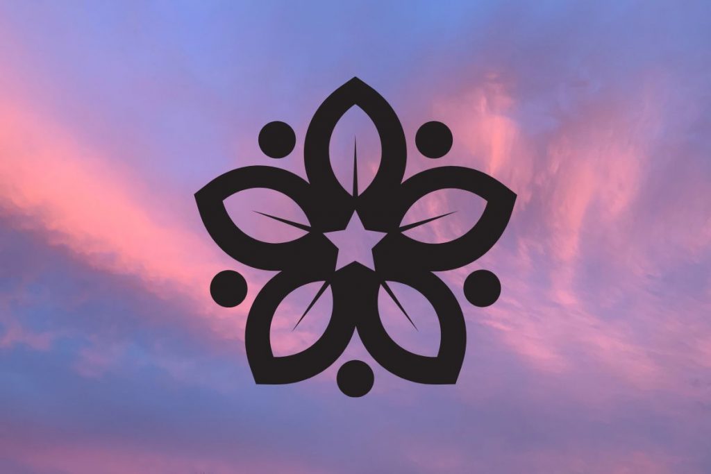 Venusblume: Bedeutung, Entstehung und Symbolik des faszinierenden ...